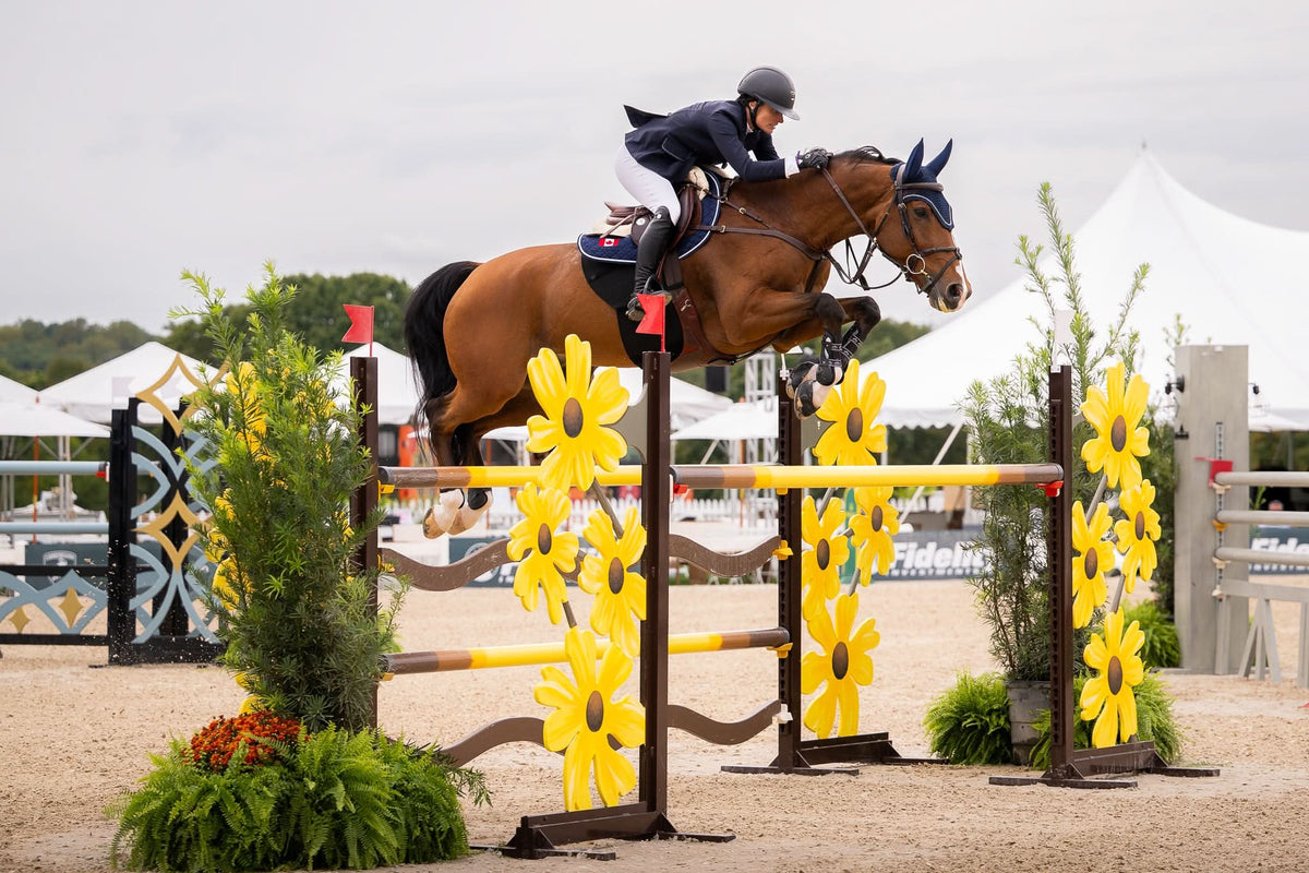 Black Eyed Susan Horse Jump Standards – Dalman Jump Co