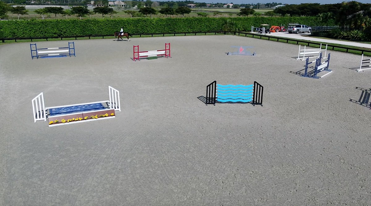 How to Train a Horse to Jump the Open Water – Dalman Jump Co