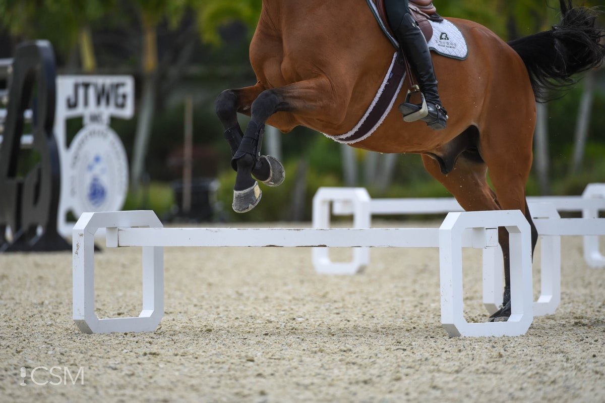 How to Use Cavaletti – Dalman Jump Co