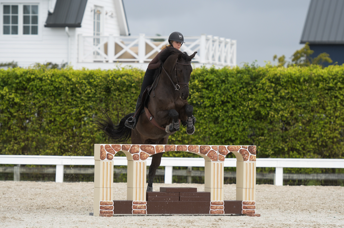 The Key to Acing Equitation Finals: The Jumps – Dalman Jump Co