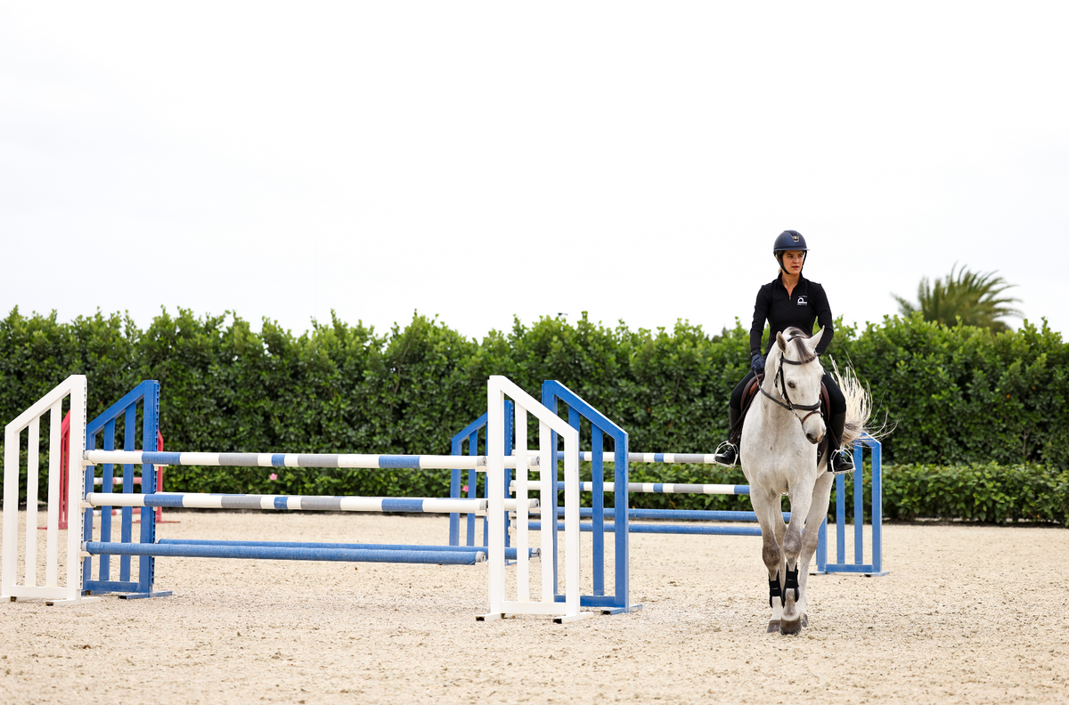 Which Horse Jump Package Best Suits You? – Dalman Jump Co