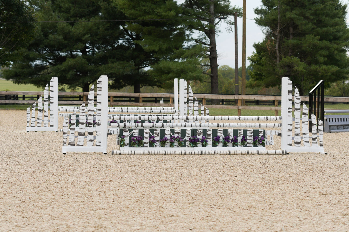 Birch Hunter Jump Set – Dalman Jump Co