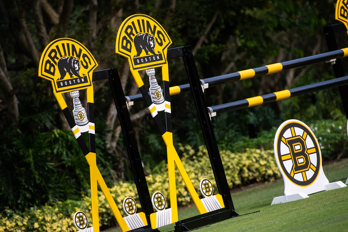 Custom Logo Jump Standards (Designer Series) – Dalman Jump Co