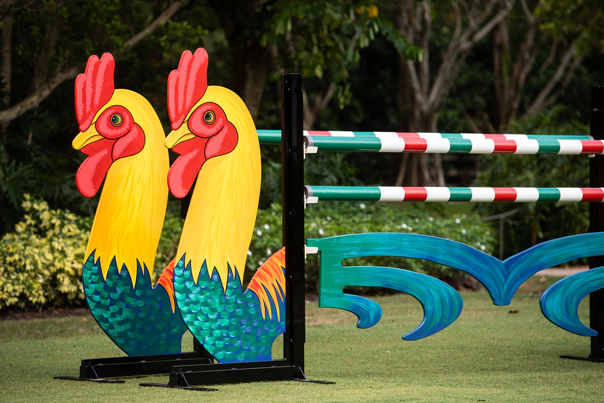 Rooster Jump Standards – Dalman Jump Co