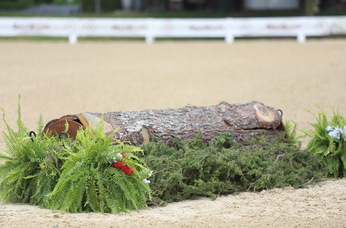 Natural Log Trot Jump – Dalman Jump Co