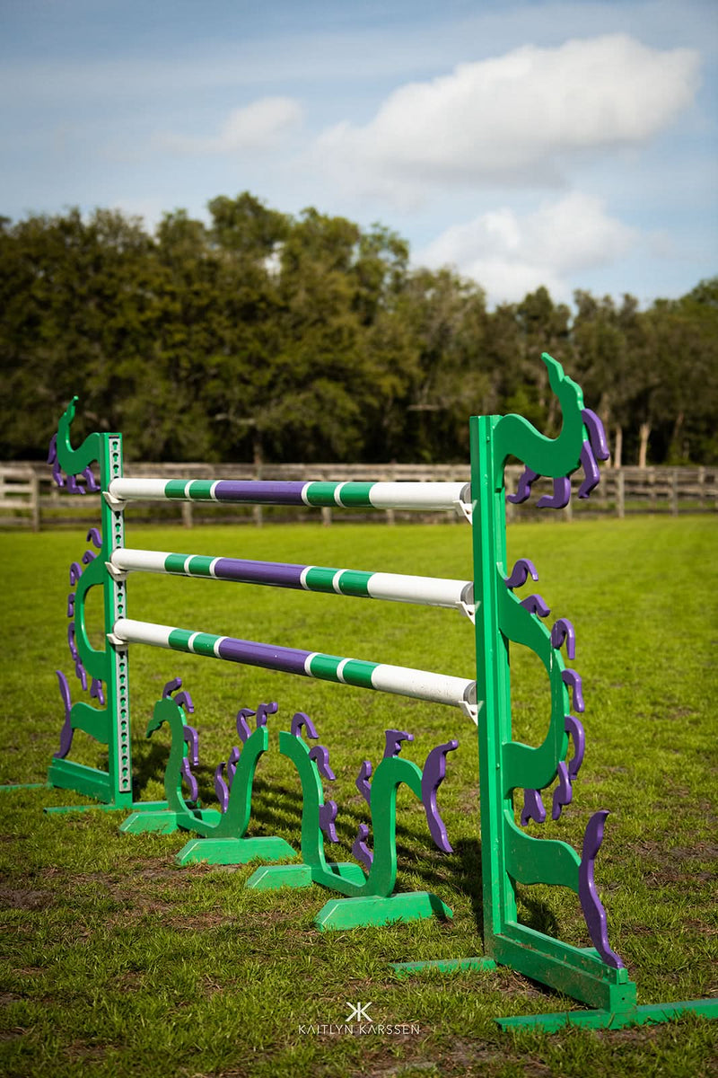 Serpent Jump Standards – Dalman Jump Co