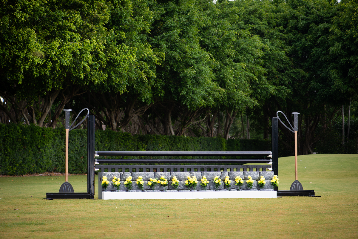 Whip Jump Standards – Dalman Jump Co